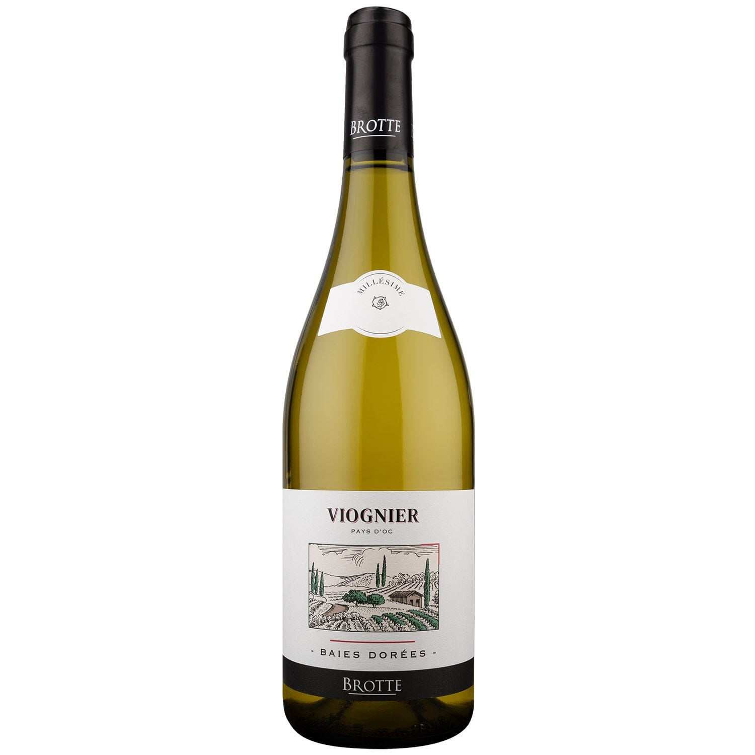 Maison Brotte Baies Dorees Viognier IGP Pays D'Oc – ND John Wines